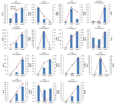 Rna Seq Data Validation By Qrt Pcr The Histograms Show The Qpcr