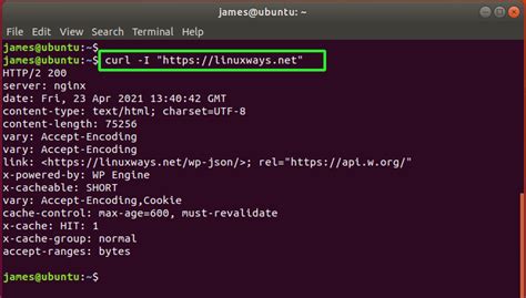 how to execute multiple curl requests in parallel