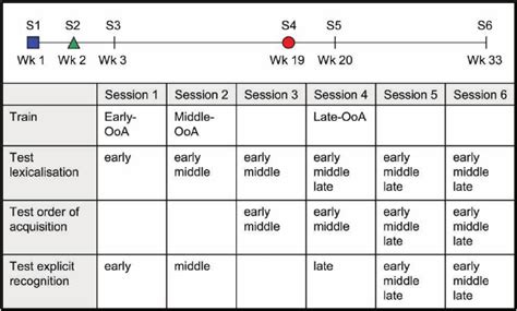 timing of the sessions and the experimental tasks in each session