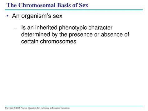 Ppt Ch 12 Chromosomal Basis Of Inheritance Powerpoint Presentation