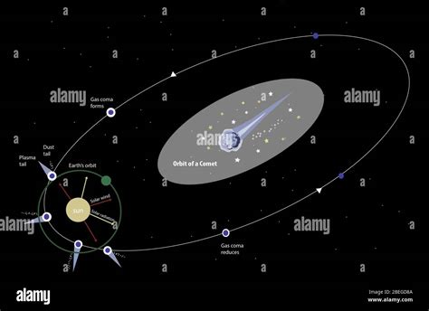 Coma Astronomy Drawing