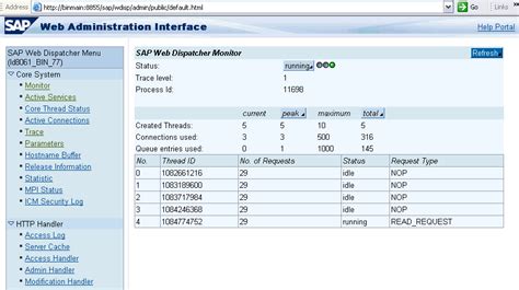 using the web administration interface sap documentation