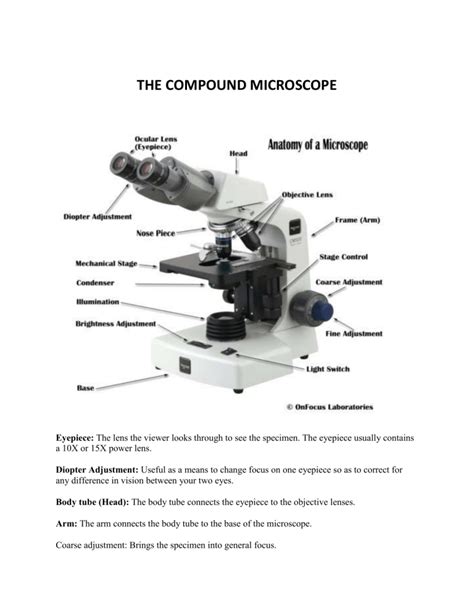 Compound Light Microscope Parts And Functions Shelly Lighting