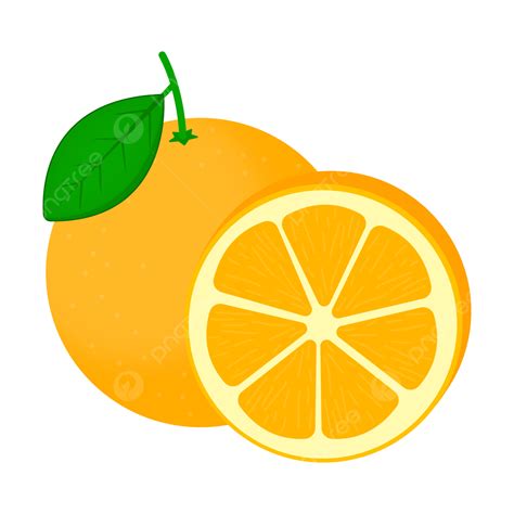 Ilustrasi Vektor Buah Jeruk Jeruk Buah Jeruk Jeruk Segar Png Dan