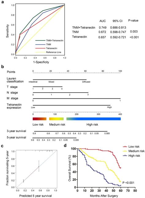 Roc Curve And Nomogram For Predicting Prognosis In Patients With