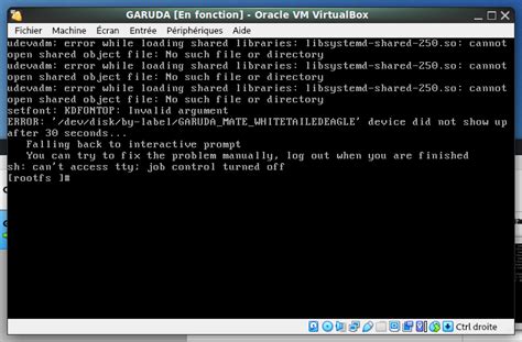 libsystemd shared 250 so problem in garuda mate iso virtualization