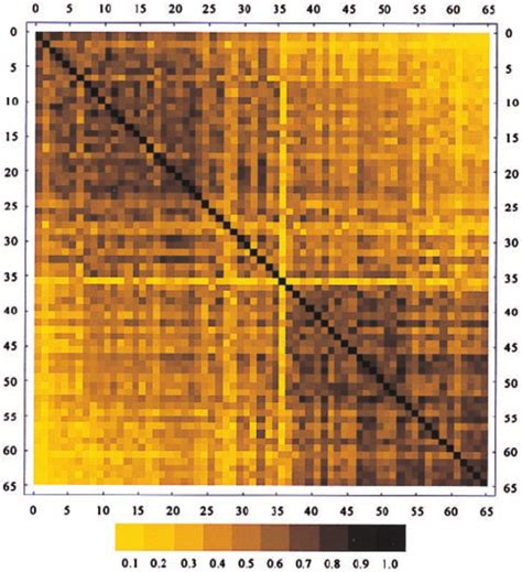 Color Coded Correlation Matrix For 65 Subjects Ordered As In Fig 3