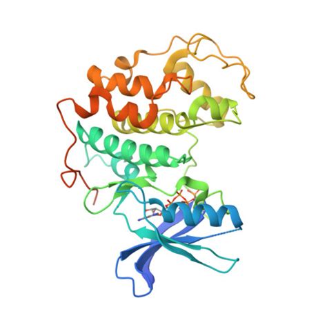 Rcsb Pdb 1ua2 Crystal Structure Of Human Cdk7