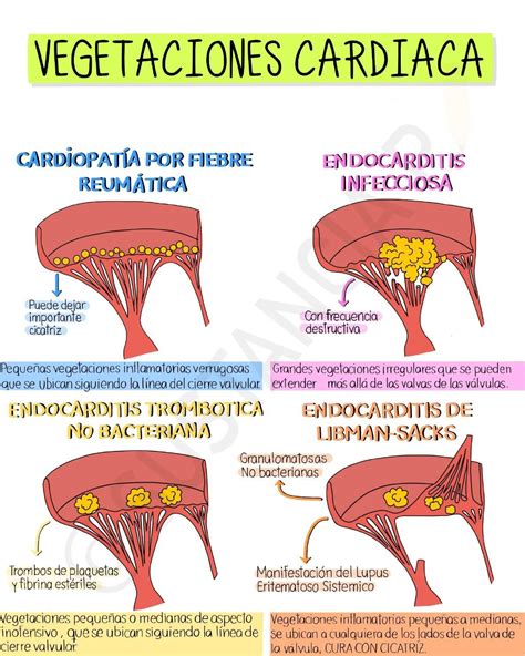 50 Esquemas Médicos Udocz Medicina De Urgencias Anatomía Médica