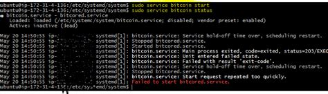 node js run bitcore node as a service in the background in ubuntu 16