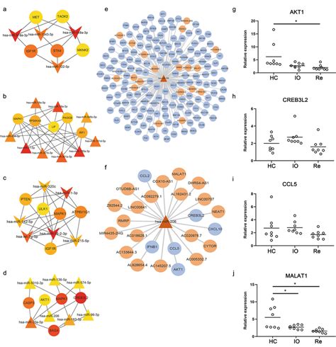 The Top Genes And Mirnas Of Mirna Target Gene Regulatory Network And