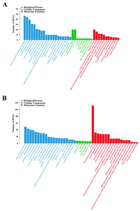 Go Enrichment Analysis Of Differentially Expressed Genes Degs In