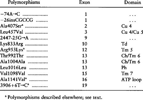 Dna Polymorphisms Detected In Wilson Disease Chromosomes Download Table