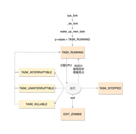 从进程到线程一linux中的task struct结构分析 知乎