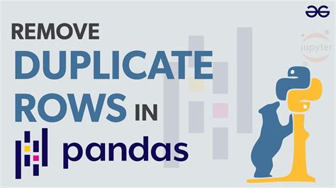 check duplicate rows in dataframe python