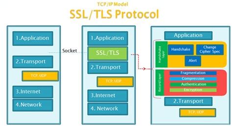 ssl与tls有什么区别 最全面的知识点都在这 沃通ssl证书