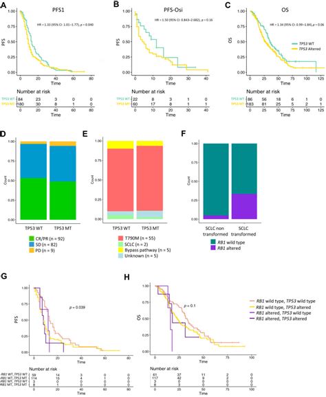 Concurrent Tp53 Mutations Facilitate Resistance Evolution In Egfr