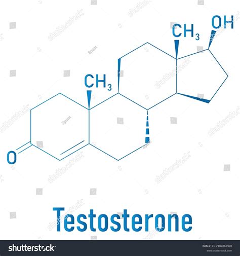 Testosterone Male Sex Hormone Androgen Molecule Stock Vector Royalty