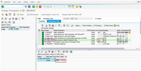 analyzing and fixing authorization errors for spro transactions in