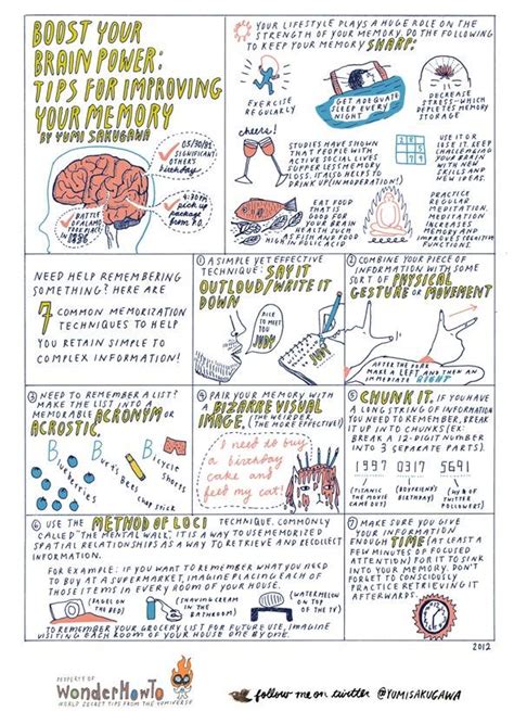 Boost Your Brain Power 7 Tips For Improving Your Memory « The Secret