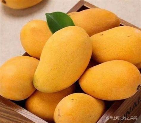 请问早上可以吃芒果吗？每天早上吃苹果「经验」 综合百科 绿润百科