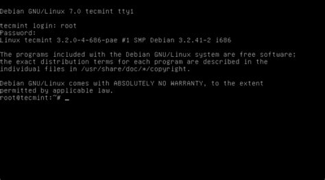 debian gnu linux 7 0 code name wheezy server