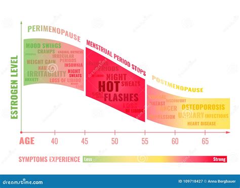 Stages Of Menopause Infographic Stock Vector Illustration Of Female
