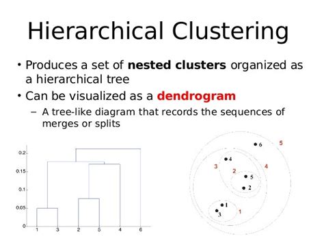 hierarchical clustering