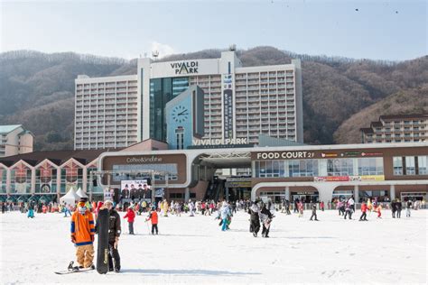 비발디파크 스키장 강원특별자치도 홍천군 가볼만한곳 관광지랭킹