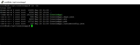 run your app as unix daemon in ubuntu