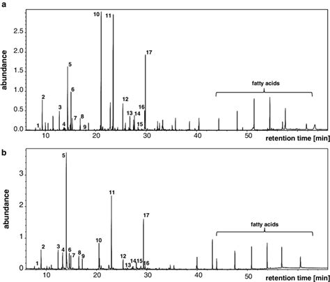 Gc Ms Total Ion Chromatograms Tic Of Bacterial Metabolome Samples