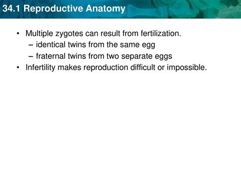 There Are Two Main Functions Of The Female Reproductive System Ppt