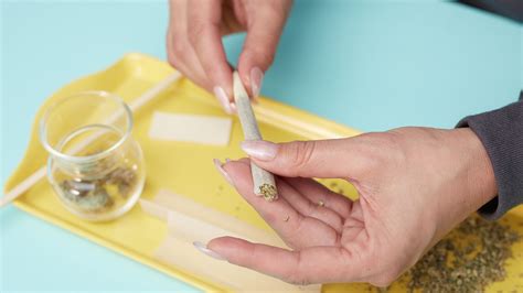 How To Roll A Joint Step By Step Guide Weedmaps