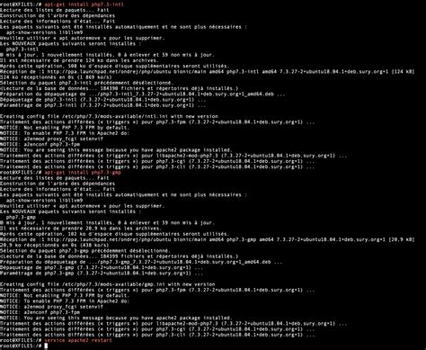 mes conseils pour la mise à jour de nextcloud php et mariadb