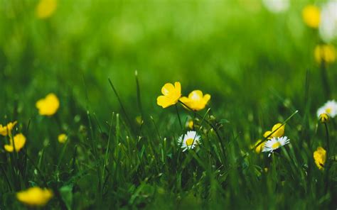 spring boot configuration overriding built in