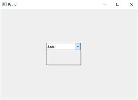 pyqt5 how to hide the items from drop down box in combo box