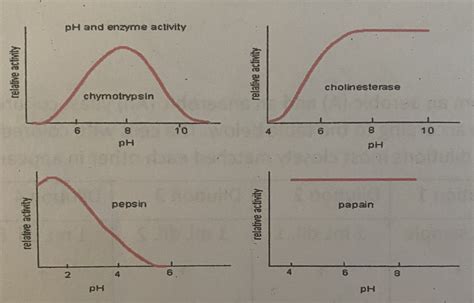 Solved Indicate On The Graphs Above The Optimum Ph For Each