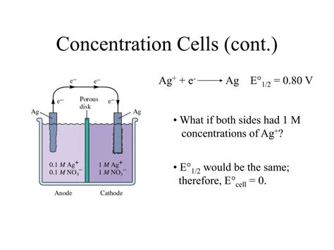 Ppt Lecture 13 The Nernst Equation Powerpoint Presentation Free