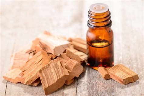Essential Oils For Sex The Best Essential Oils For Your Sex Life