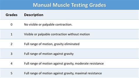 Manual Muscle Testing Grading Mmt Grades Overview 2024