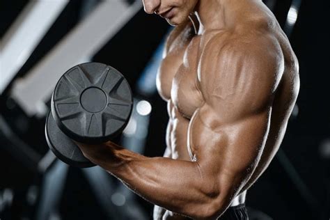 Average Bicep Size By Age And Height From 12 To 80 Years