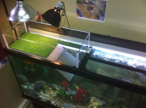 Homemade Turtle Basking Platform Large Turtle Tower Above Tank
