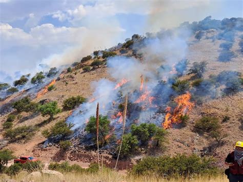 Más De 90 Incendios Activos En 18 Estados De México Conafor Noticias