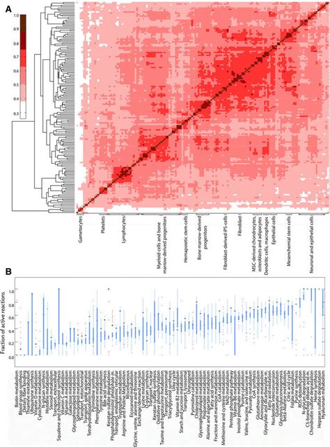 Identification Of Cell Type Specific Metabolic Pathways In Primary