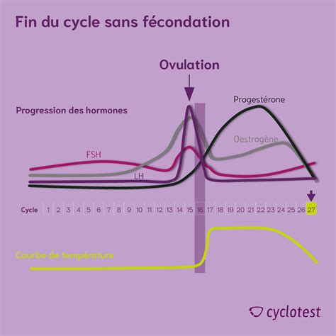 ᐅ Cycle Féminin Comment Fonctionne Le Cycle Menstruel Cyclotest