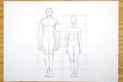 33 Drawing Human Proportions Ruaraidhcourtny