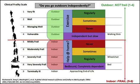 Brief Aids To Guide Clinical Frailty Scale Scoring At The Front Door Of