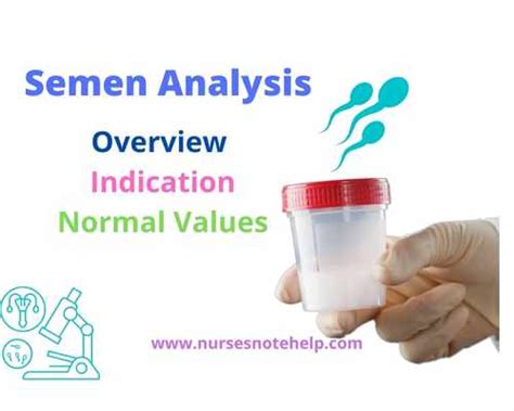 Semen Analysis Sperm Count Sperm Examination Seminal Cytology Semen