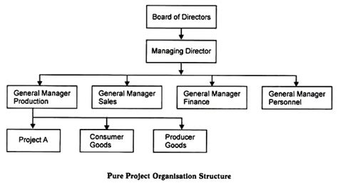 Project Organizational Structure