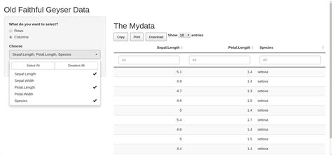 r how to select rows and columns and filter with dt in shiny stack